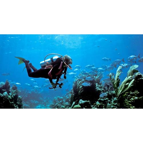 ATI GFXH45M FXH-45 Moxie 45 ACP Caliber with 5.40 Barrel, 8+1 Capacity ...